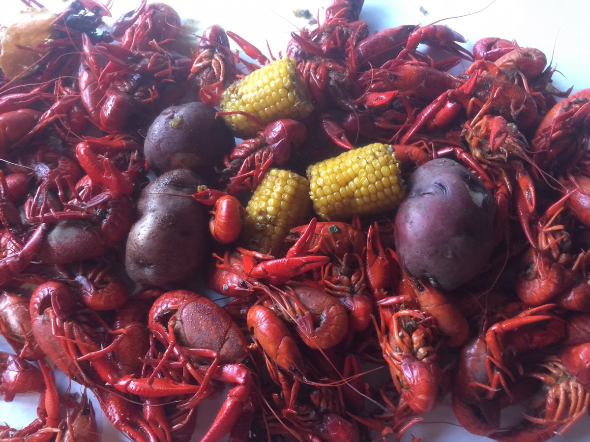 Beer, Bees and Bugs in Brenham « Bishop's Beer Blog